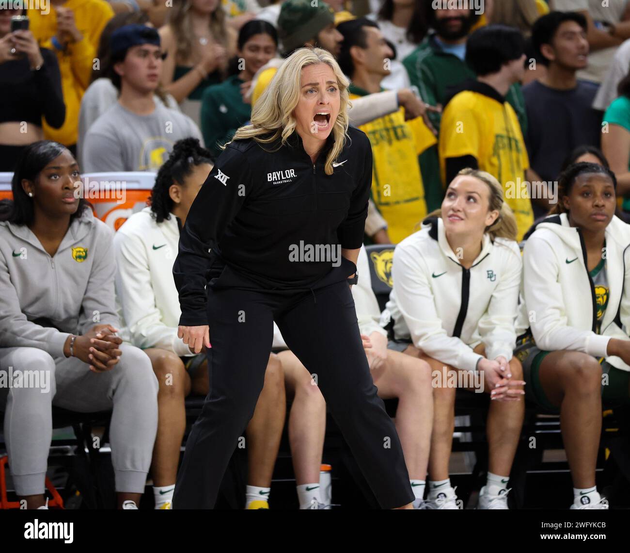 February 1, 2024: Baylor head coach Nicki Collen during a Big 12 women ...
