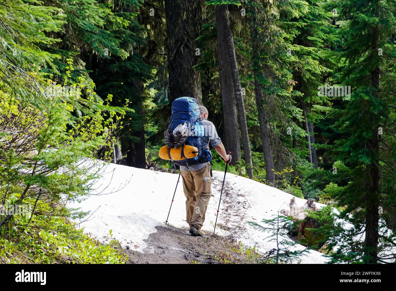 Man hiking through a forest navigating a patch of snow Stock Photo - Alamy