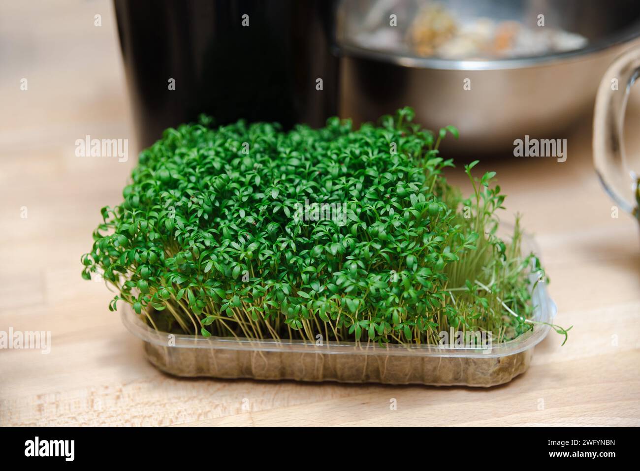 Container set hi-res stock photography and images - Alamy