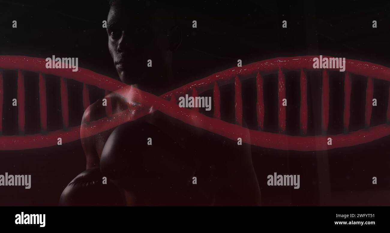 Image of dna strain spinning over man exercising with boxing gloves ...