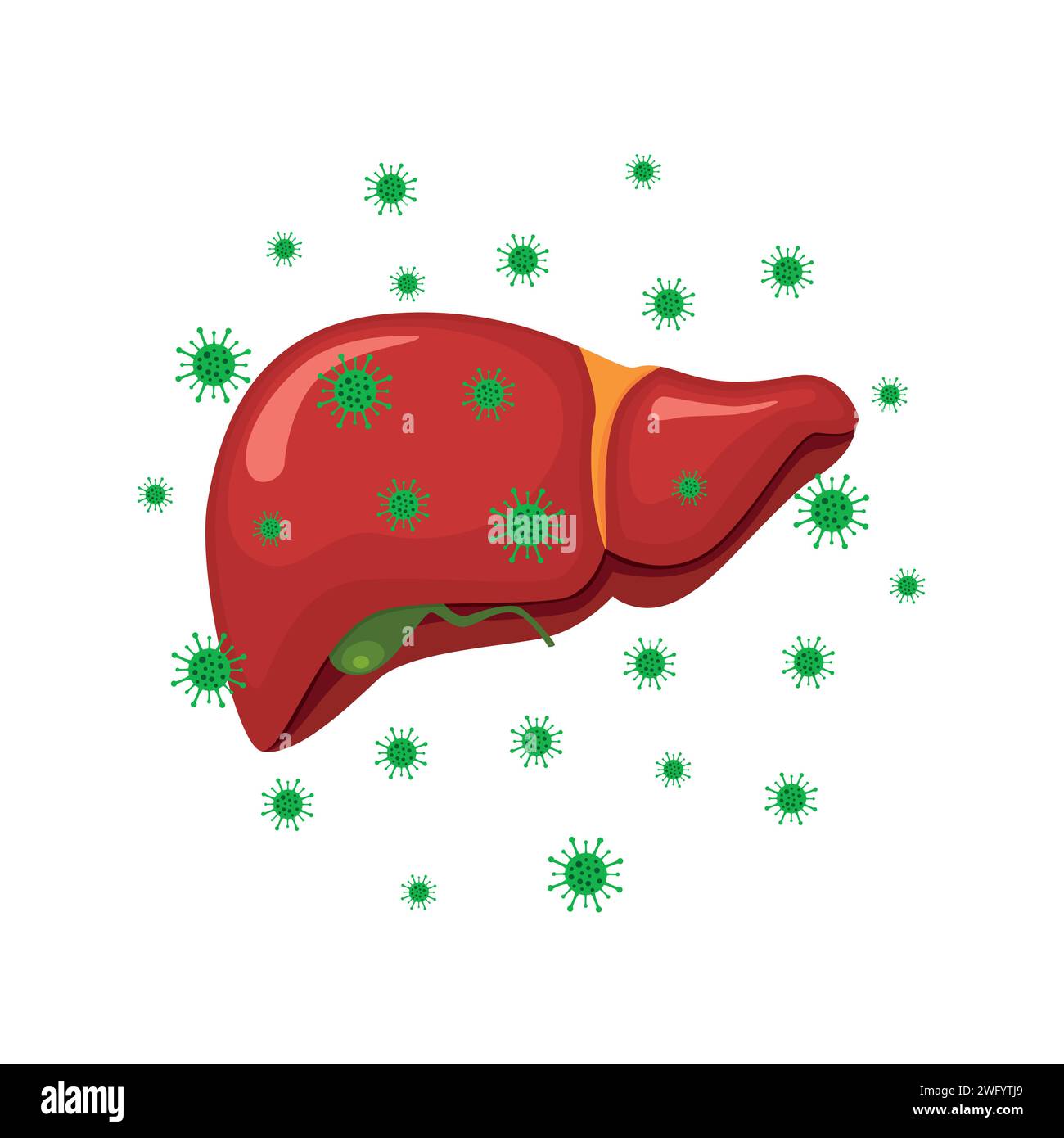 Gastrointestinal system drawing Stock Vector Images - Alamy