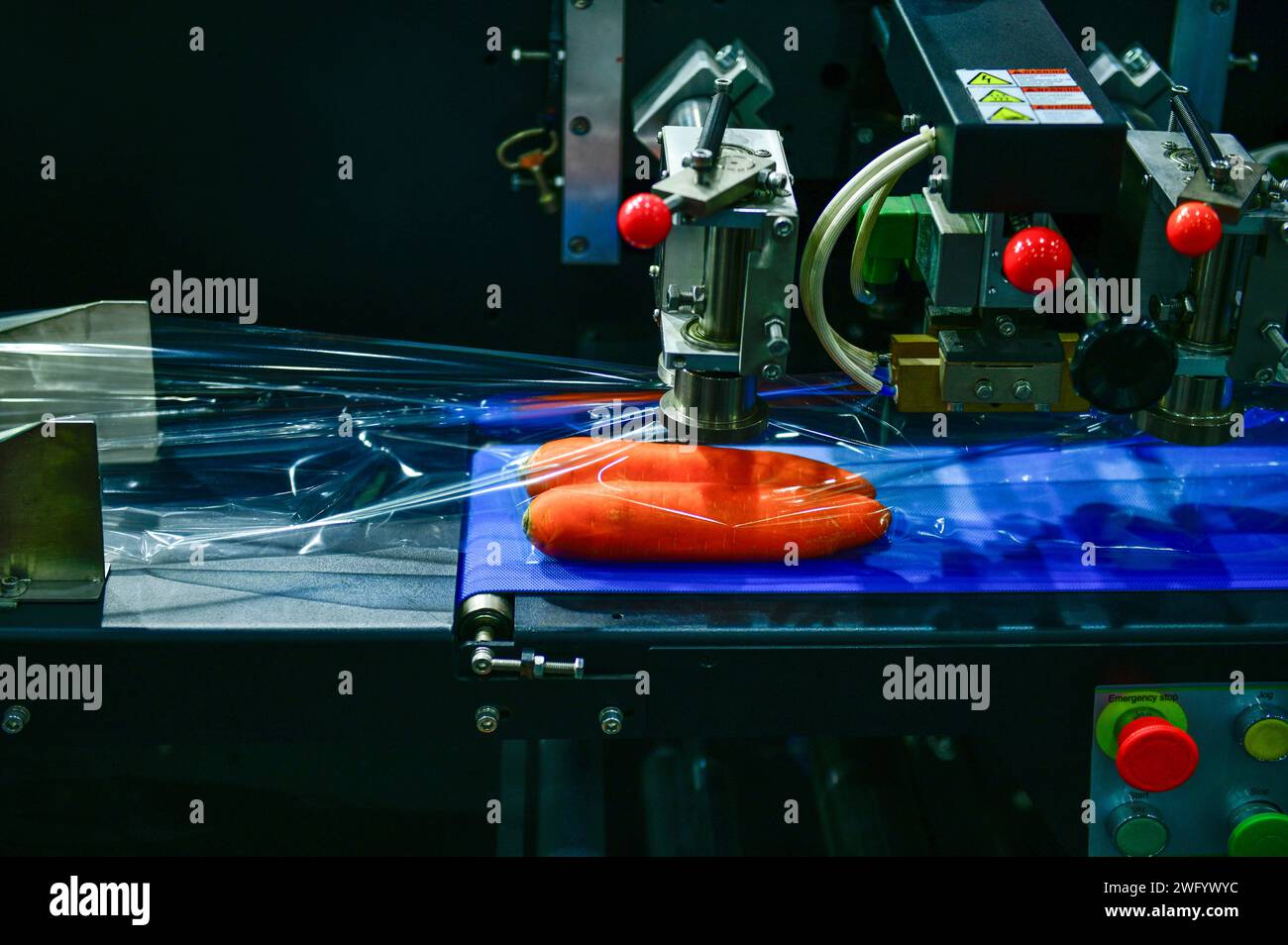 Industrial carrot production hi-res stock photography and images - Alamy