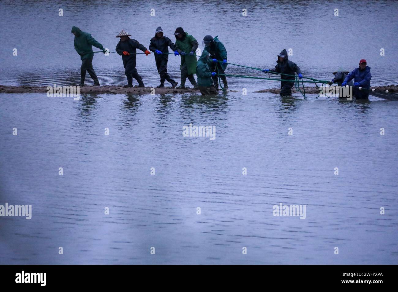 SUZHOU, CHINA - FEBRUARY 2, 2024 - Fishermen catch fish at the Cheng ...