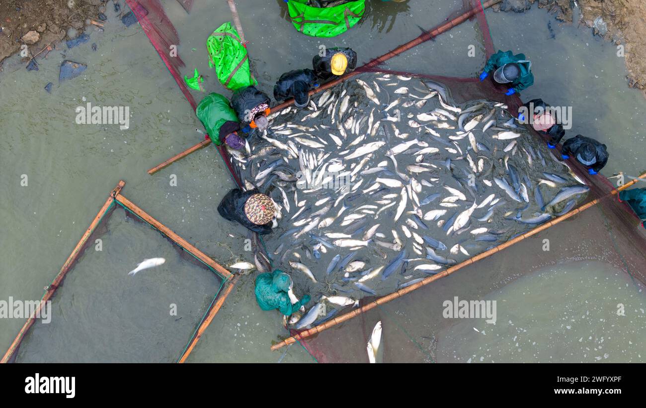 SUZHOU, CHINA - FEBRUARY 2, 2024 - Fishermen catch fish at the Cheng ...