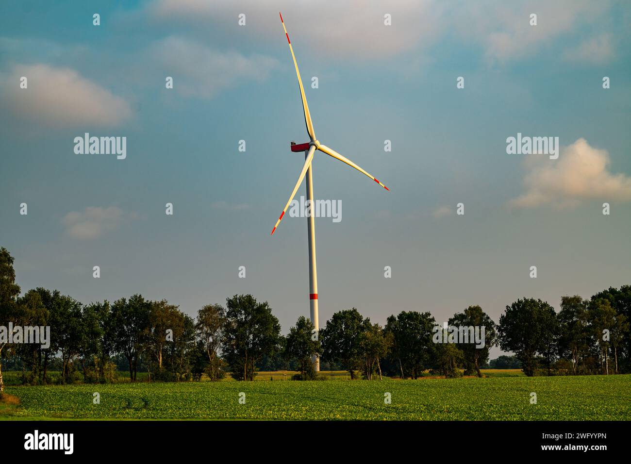 Eco power. Wind turbines generating electricity. Turbine Green Energy ...