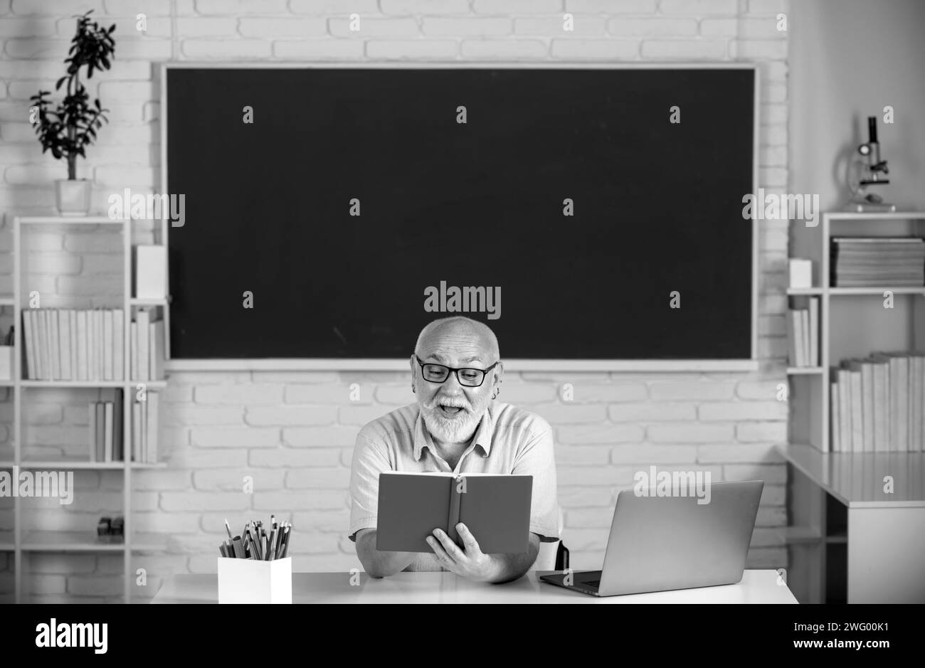 Adult teaching. Portrait of senior teacher teaching line of high school ...