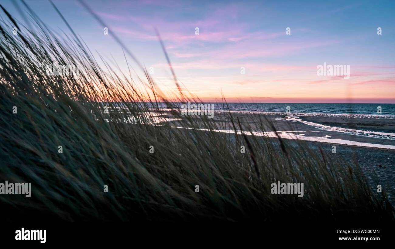Ocean of grass hi-res stock photography and images - Alamy