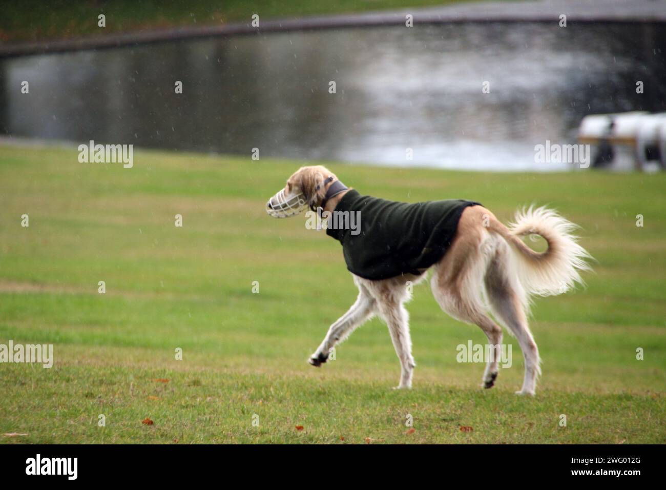 Rainy day excitement hi-res stock photography and images - Alamy