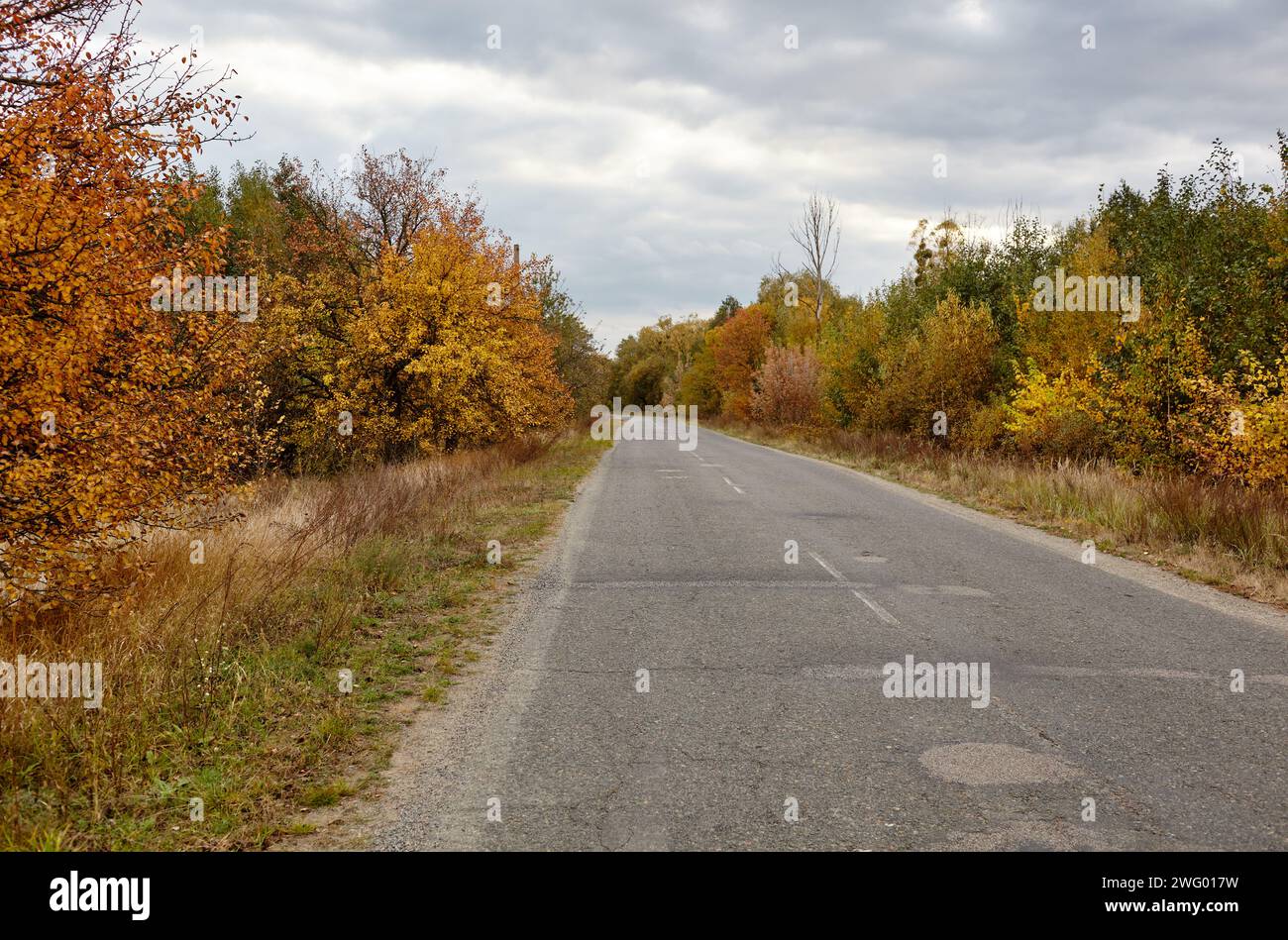 Country road bend curve hi-res stock photography and images - Alamy
