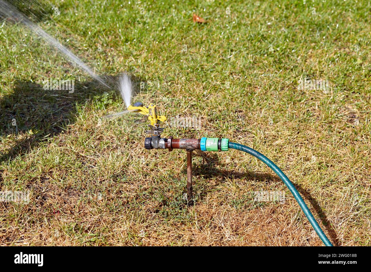 A rotating garden sprinkler waters the grass. Water in motion ...