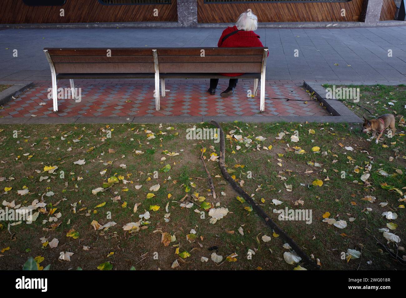 Woman seated on park bench hi-res stock photography and images - Alamy