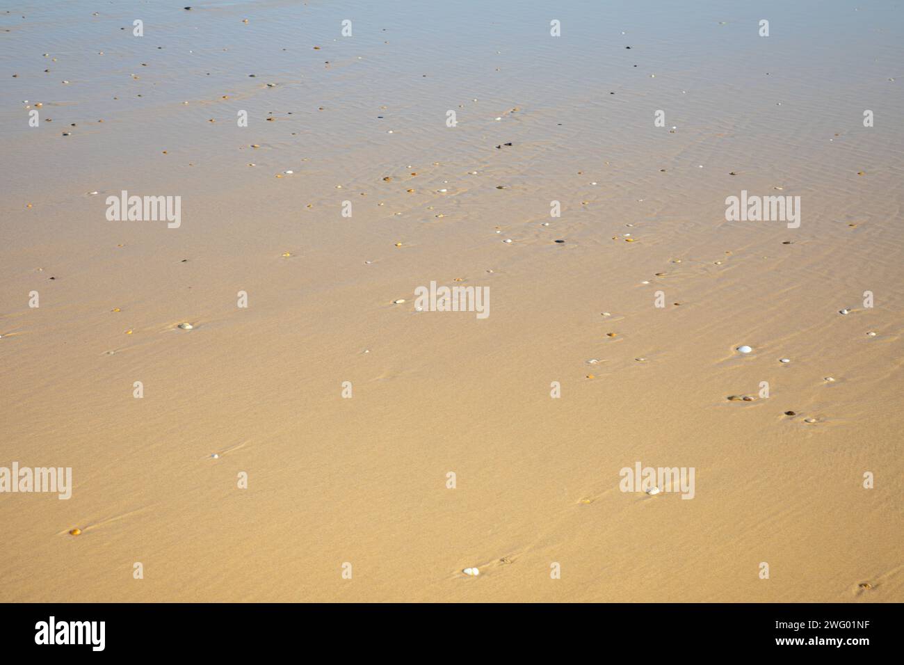 sand texture sea beach background with stones on sandy pattern ...