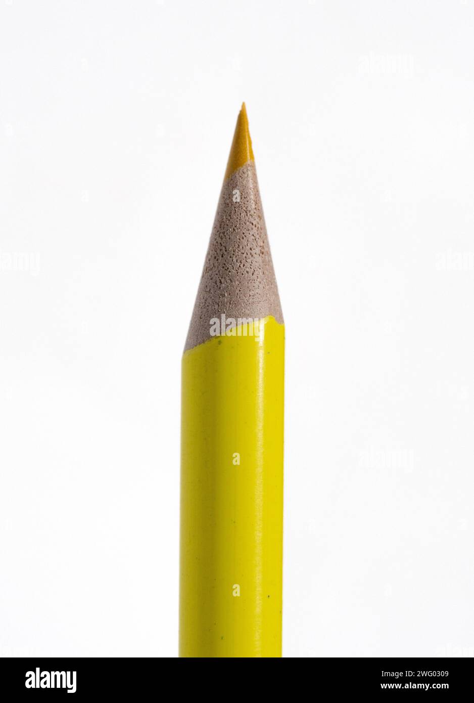 A yellow wooden pencil on a white background Stock Photo - Alamy
