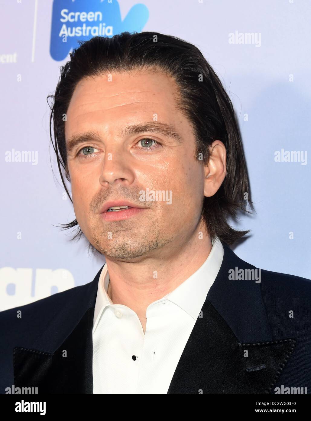 Los Angeles, USA. 01st Feb, 2024. Sebastian Stan arriving at the 21st ...