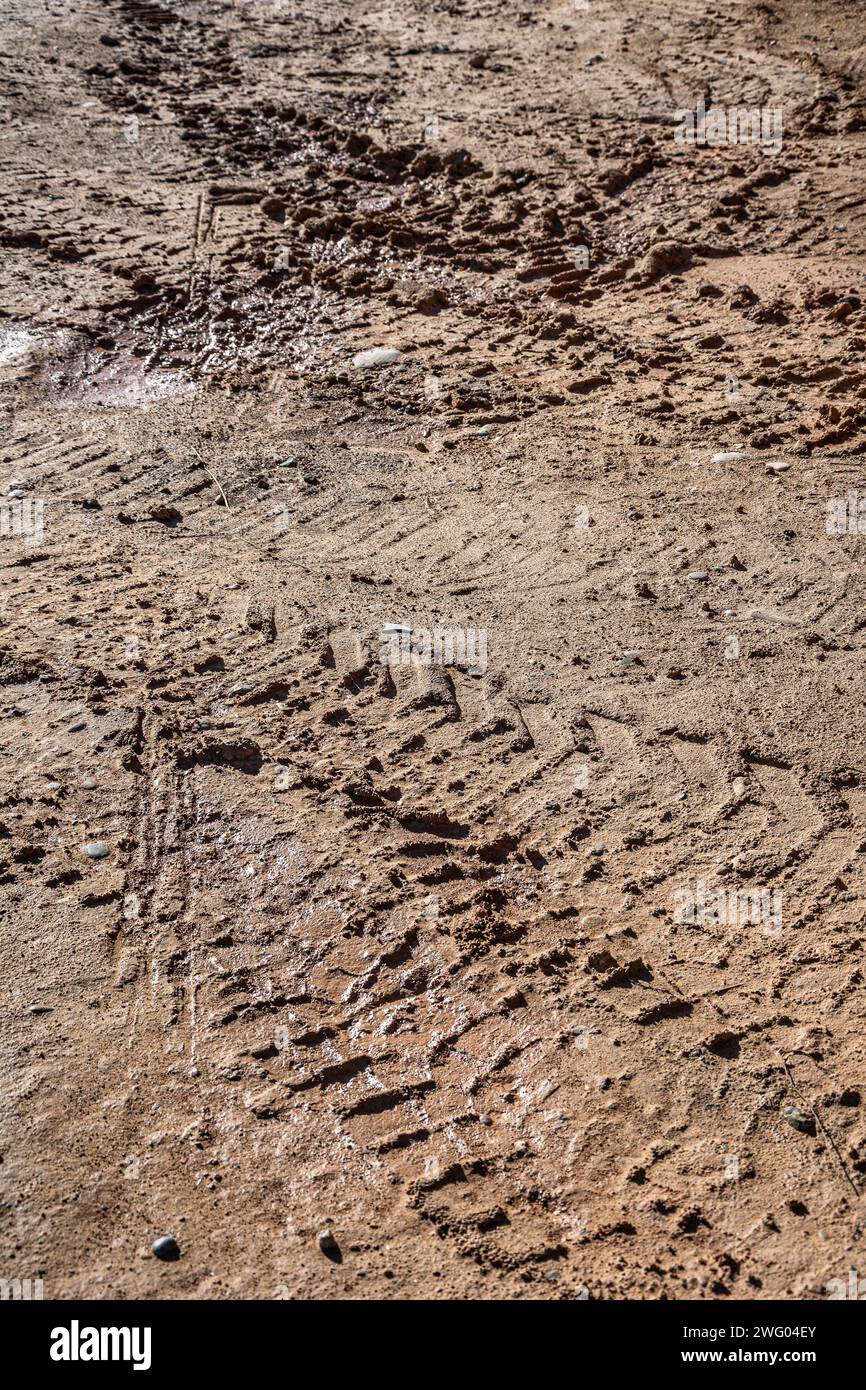 Aged dirt field with numerous tracks ingrained in the soil Stock Photo ...
