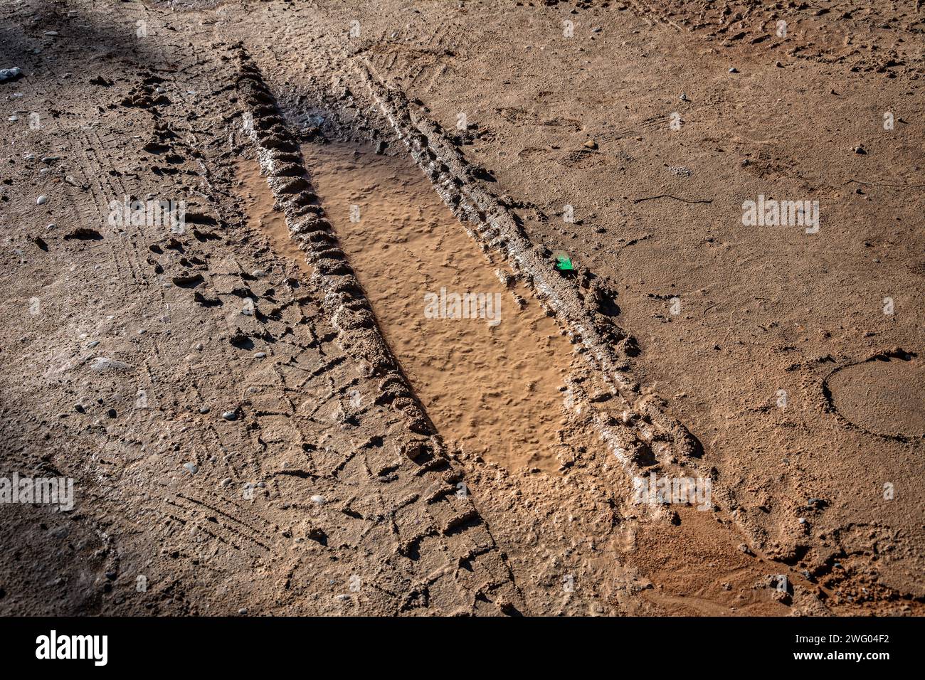 Aged dirt field with numerous tracks ingrained in the soil Stock Photo ...