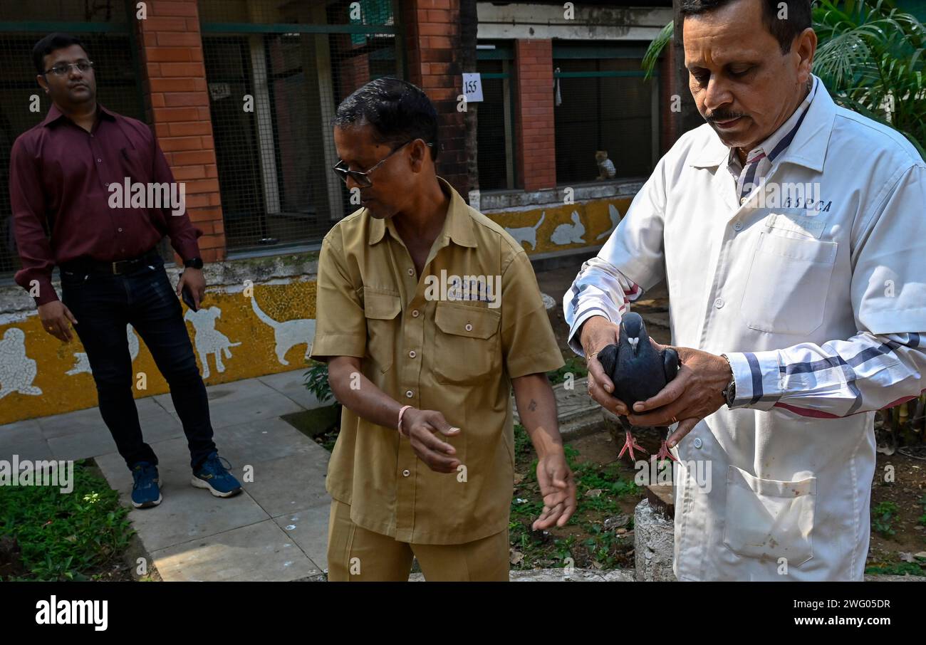 MUMBAI, INDIA - JANUARY 30: Dr Mayur Dangar and Chief Medical Supritendent Colonel Dr B B ...