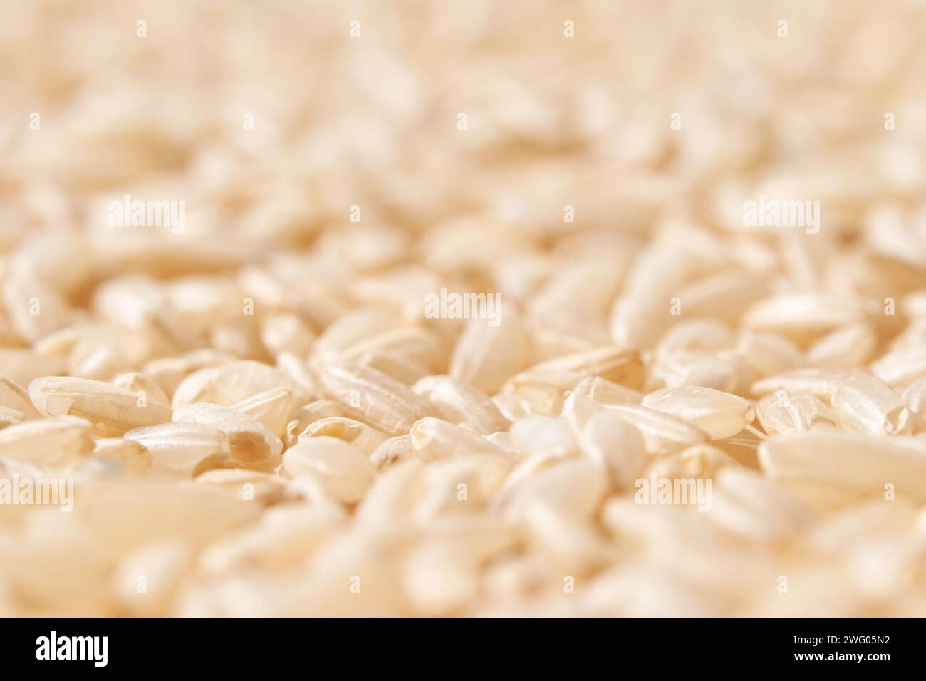 A background of dry brown rice grains showcases the integral, uncooked ...