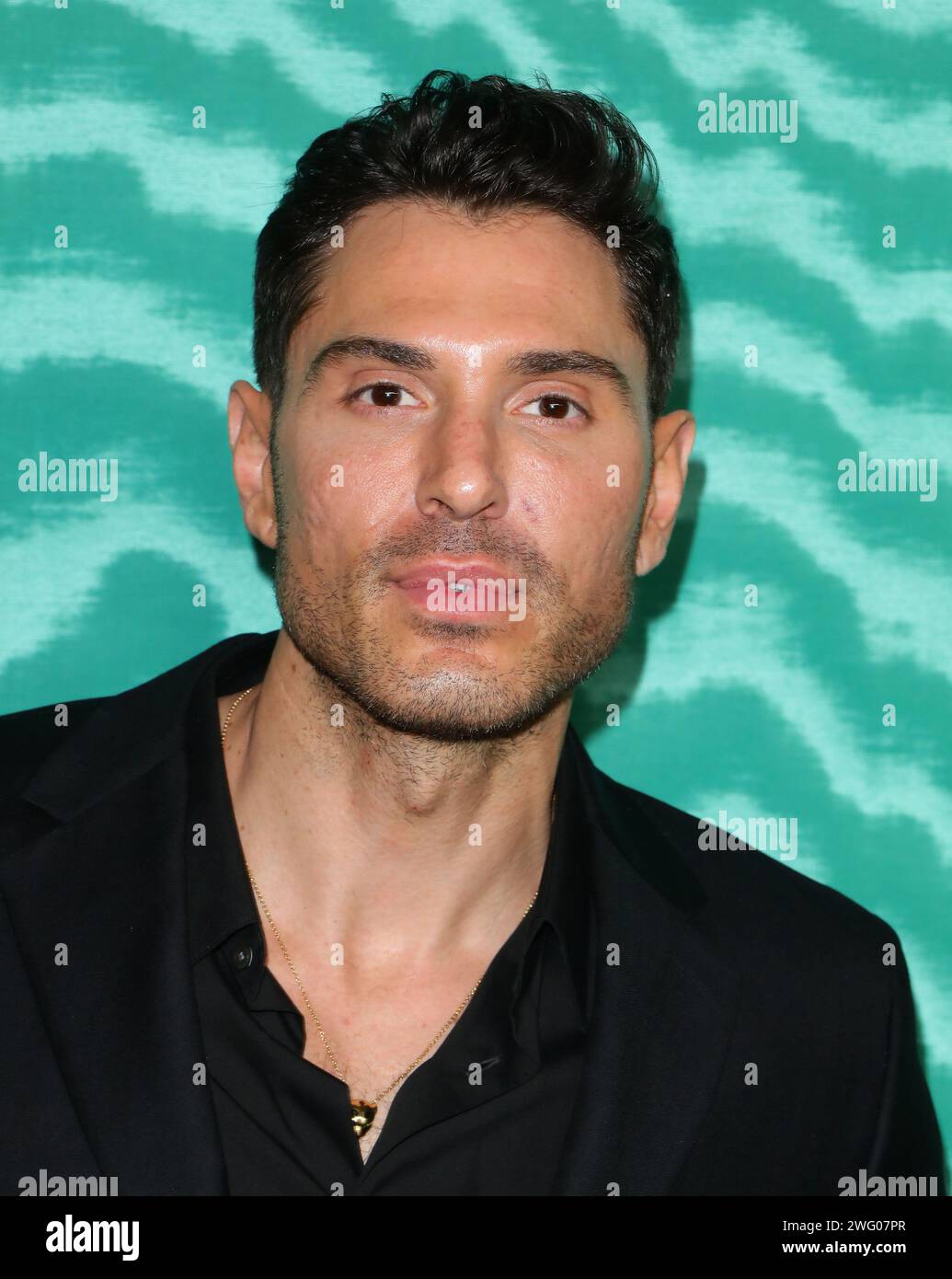 Hollywood, USA. 02nd Feb, 2024. Joey Zauzig arrives at The Warner Music ...