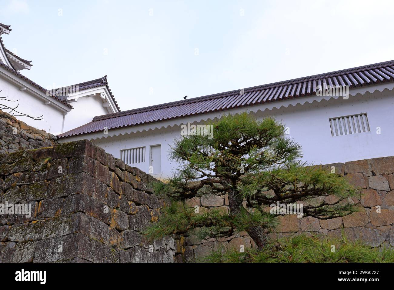 Tsuruga Castle (Wakamatsu castle) a concrete replica of 14th-century ...