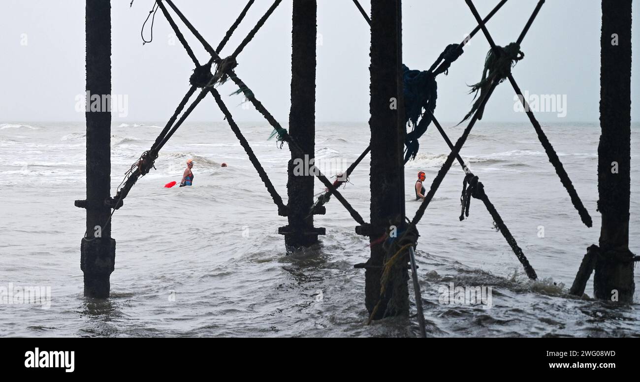 Brighton sea swimmers 2024 hi-res stock photography and images - Alamy