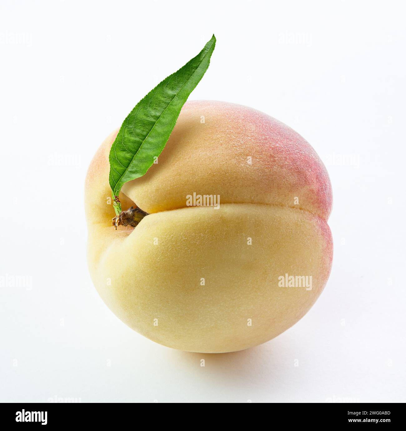 peach with leaf on white background Stock Photo - Alamy