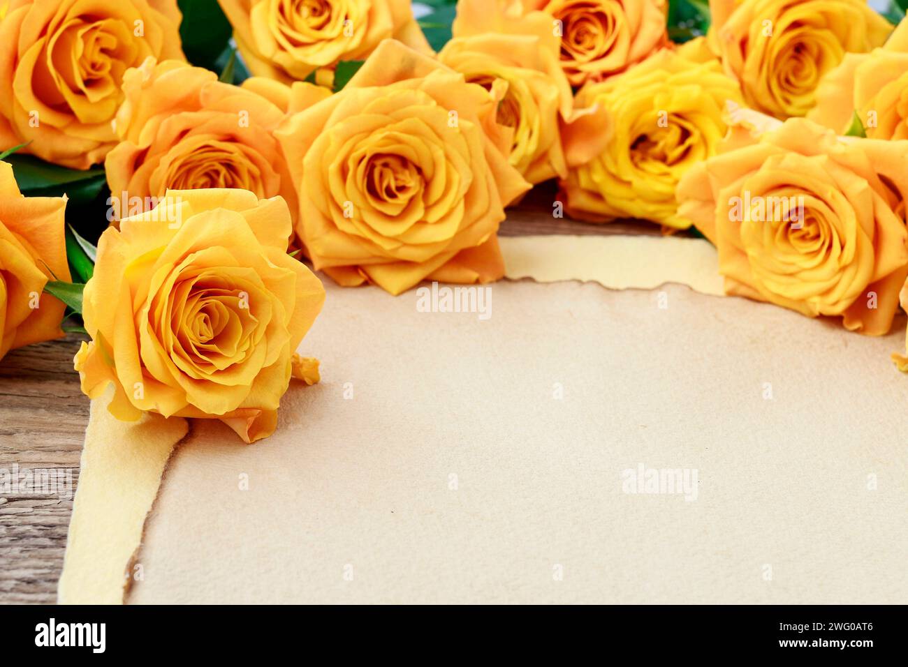 Orange roses and vintage paper, retro style Stock Photo - Alamy