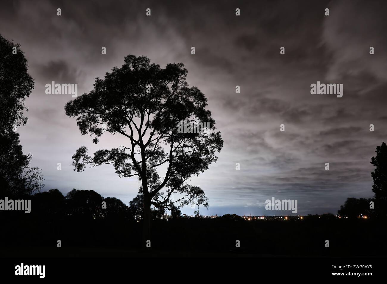 Lone tree dark sky hi-res stock photography and images - Alamy
