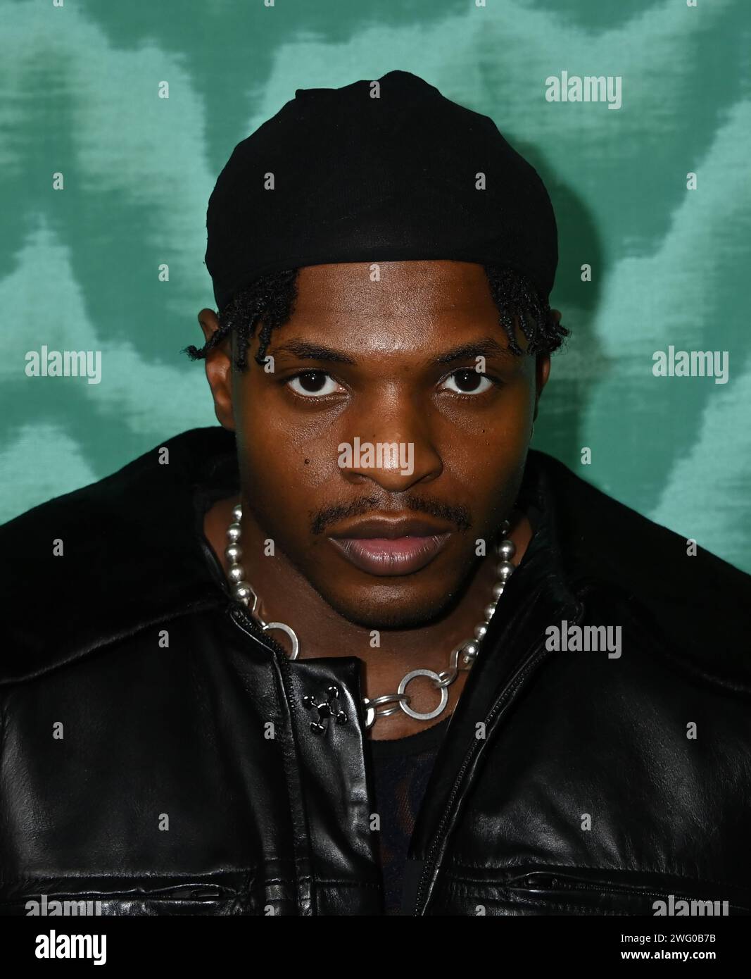 Warner music group pre grammy party 2024 hi-res stock photography and ...