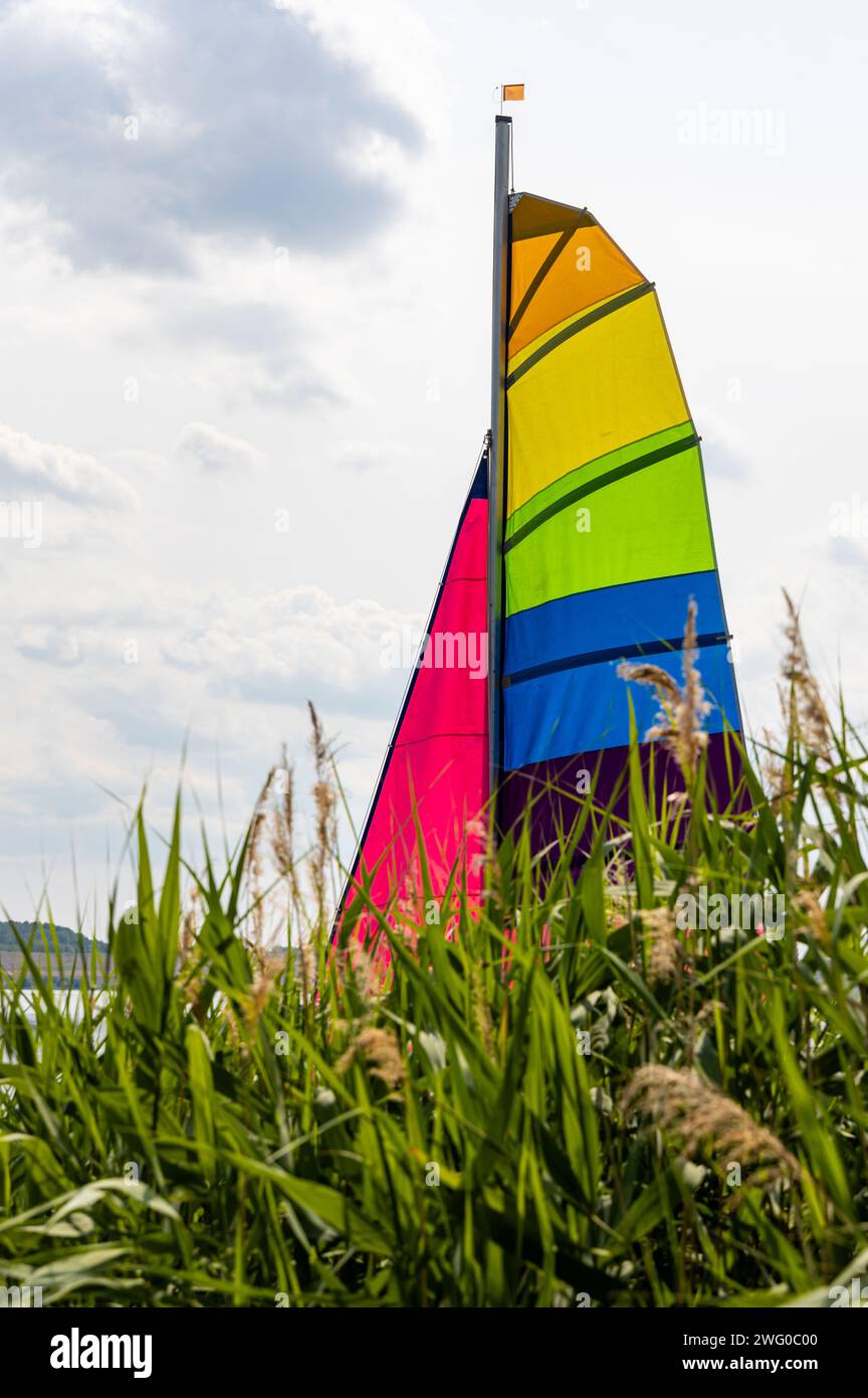 Buntes segel hi-res stock photography and images - Alamy