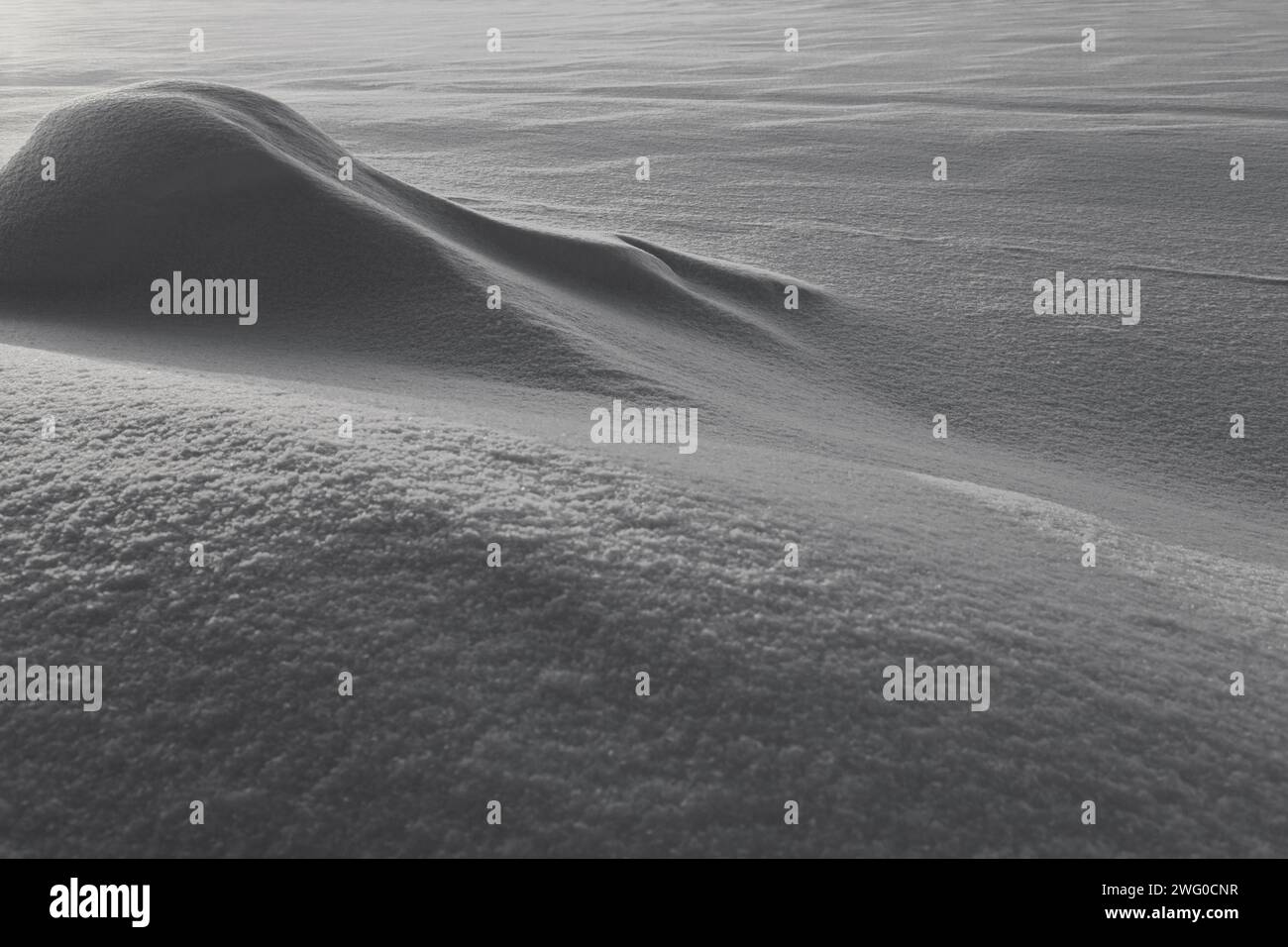 Landscape of fresh and clean snow on the ground and snowdrift in black ...