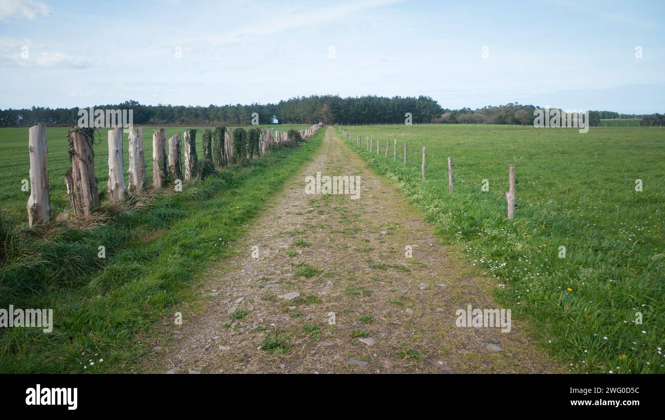 Path between green fields Stock Photo - Alamy Path between green fields Stock Photo - Alamy