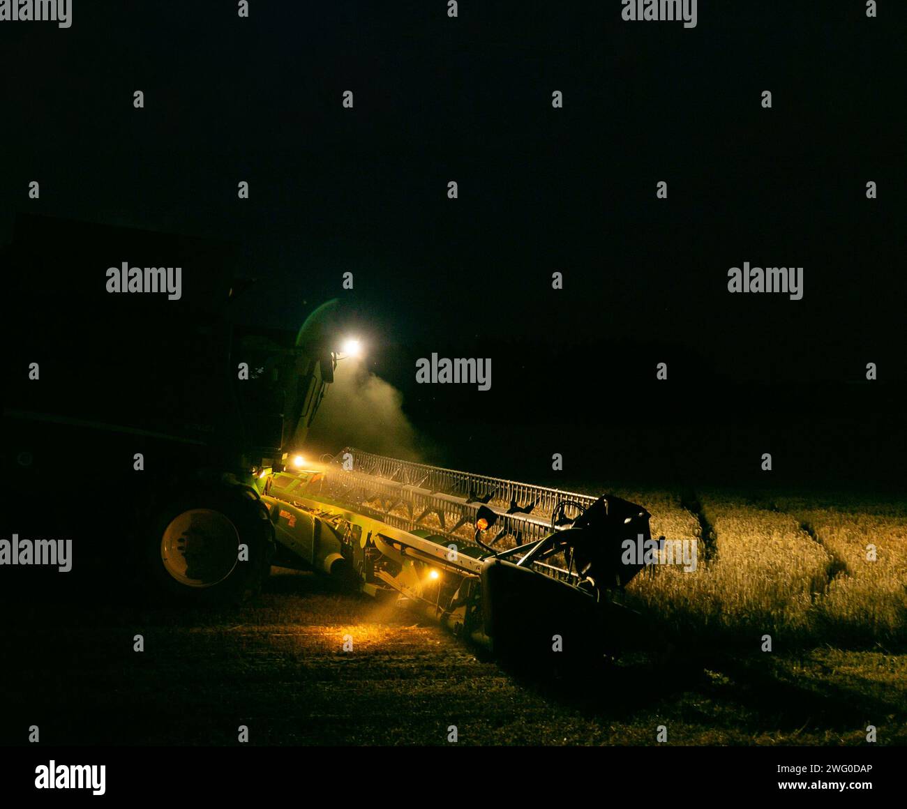 Combine harvester working in a wheat field at night with lights. The ...