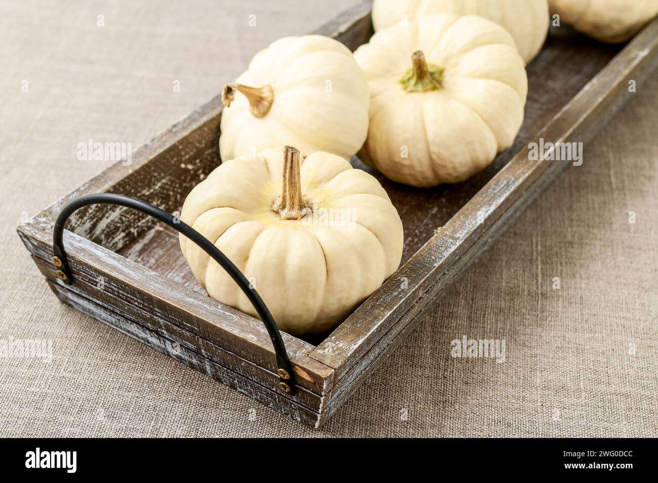 Florist at work: How to make floral decoration with white pumpkins ...
