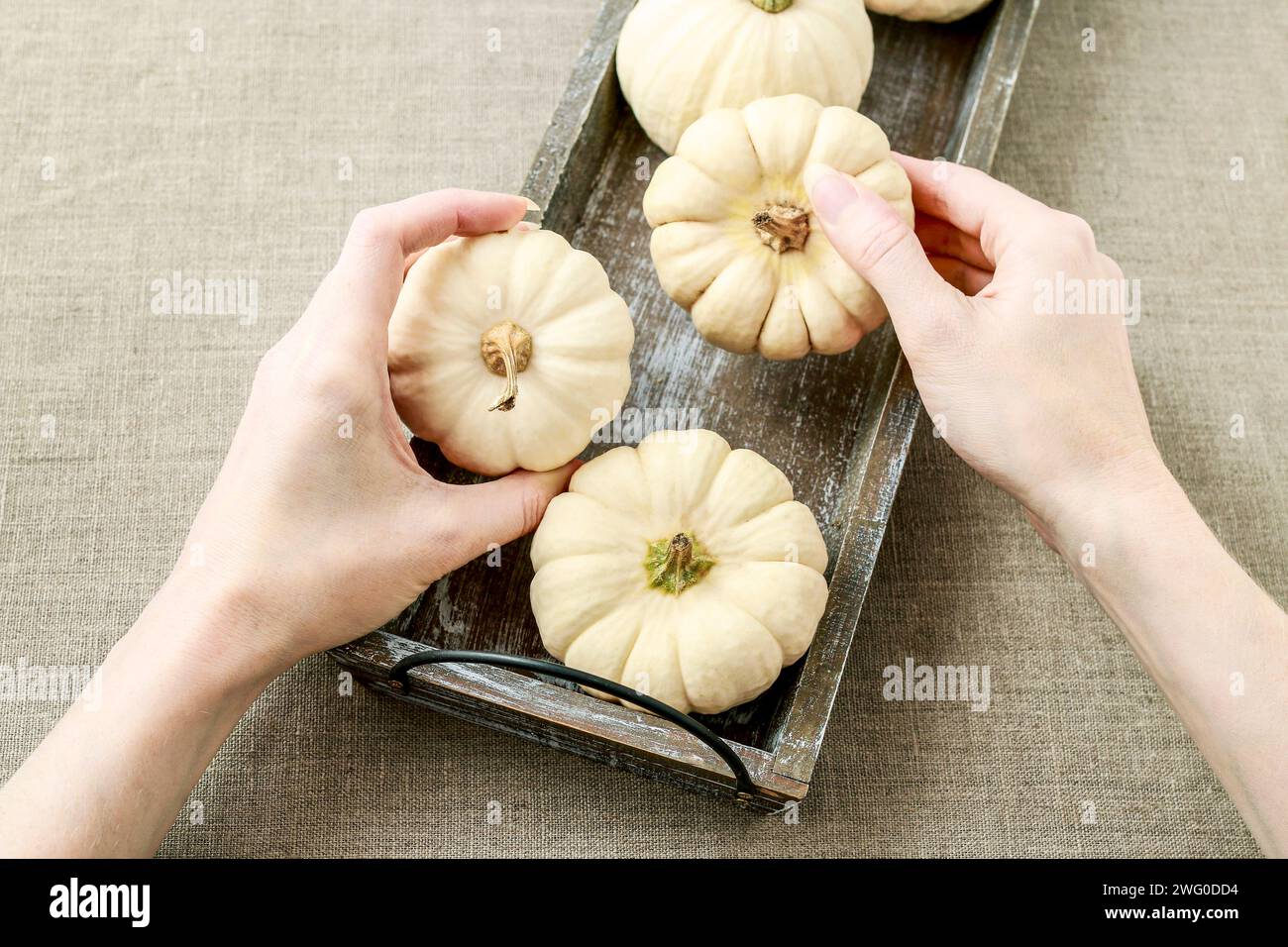 Florist at work: How to make floral decoration with white pumpkins ...