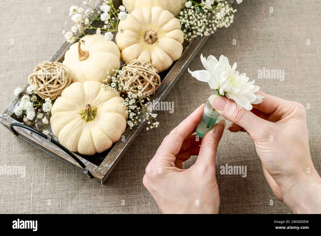 Florist at work: How to make floral decoration with white pumpkins ...