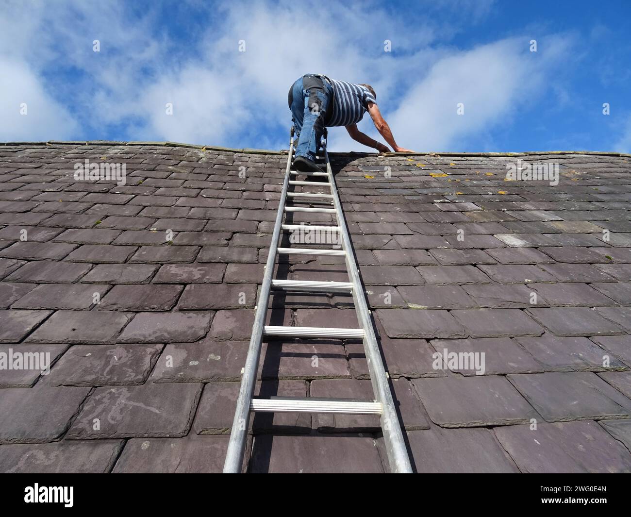Working from ladders hi-res stock photography and images - Alamy