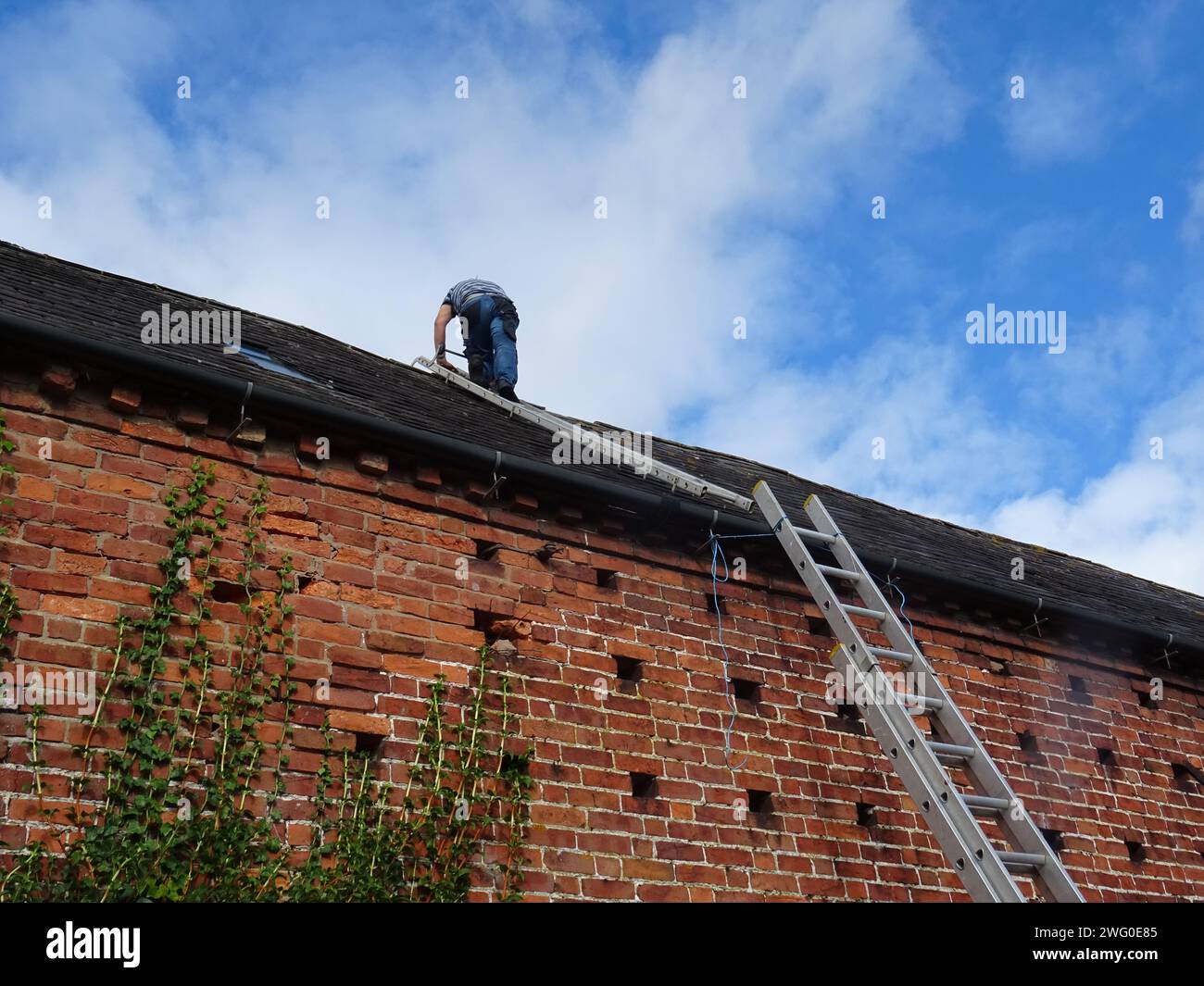 Stepping farm hi-res stock photography and images - Alamy