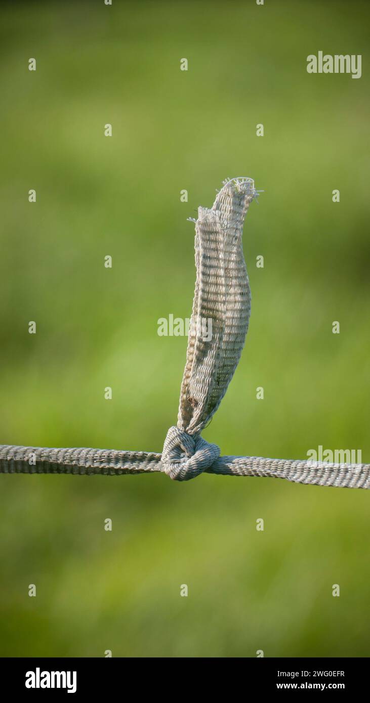 Rustic knot hi-res stock photography and images - Alamy