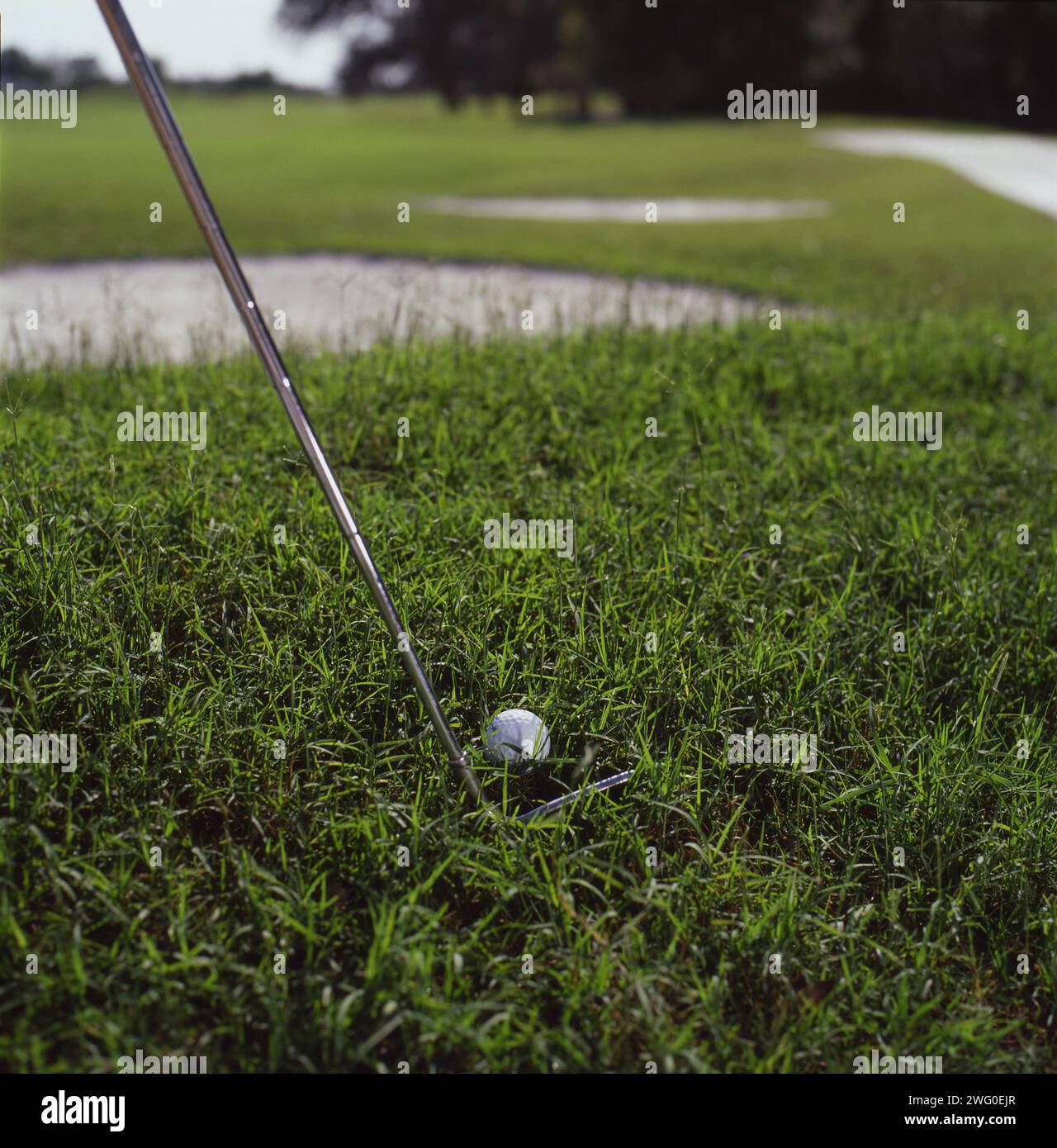 Rough golf hi-res stock photography and images - Alamy