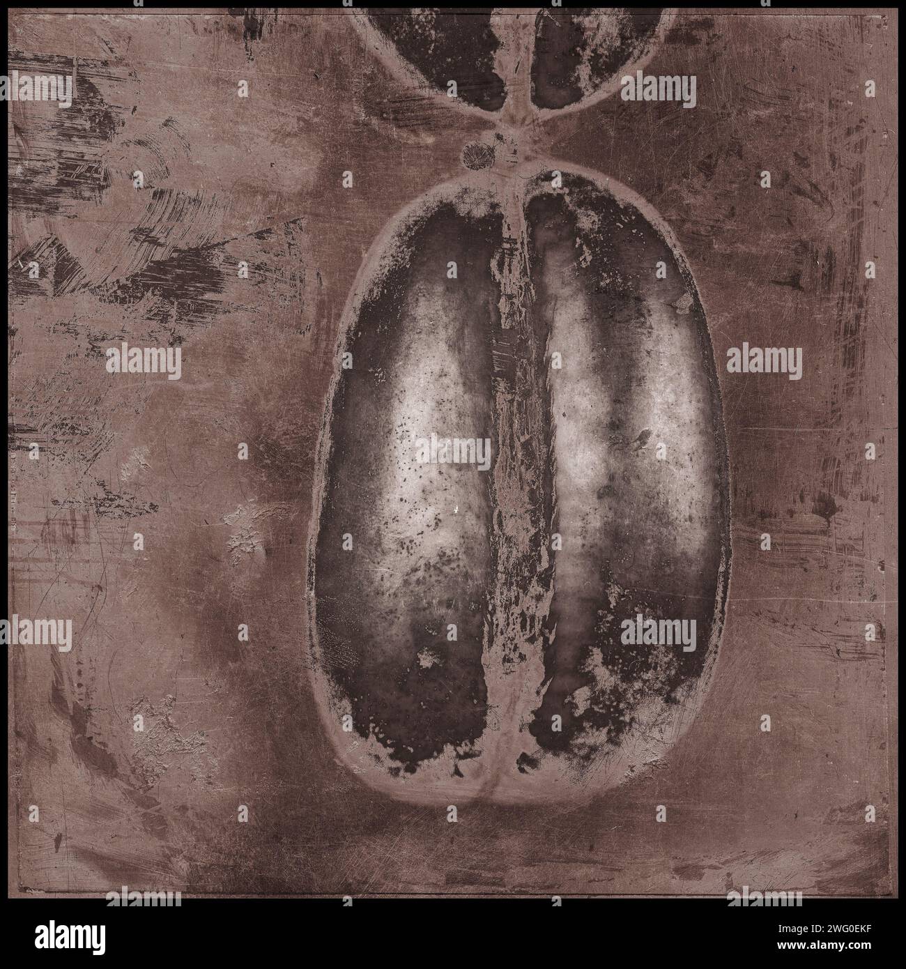 solarized bean pod Stock Photo - Alamy