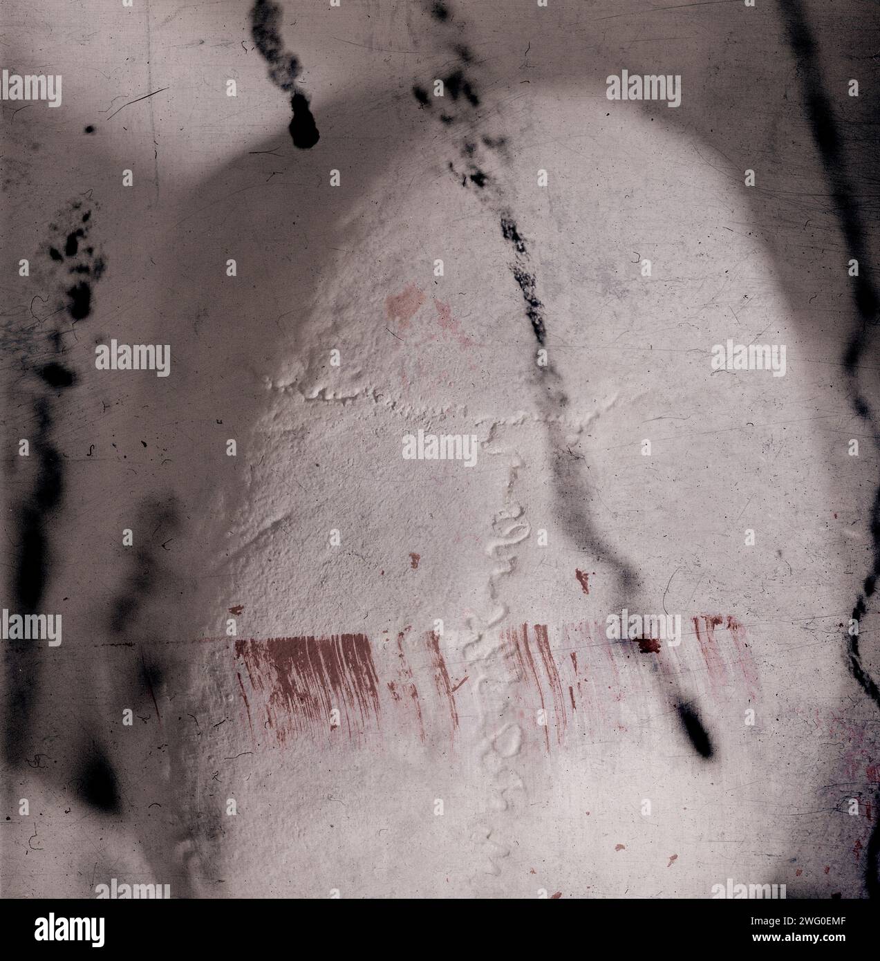 top of skull showing seams Stock Photo - Alamy