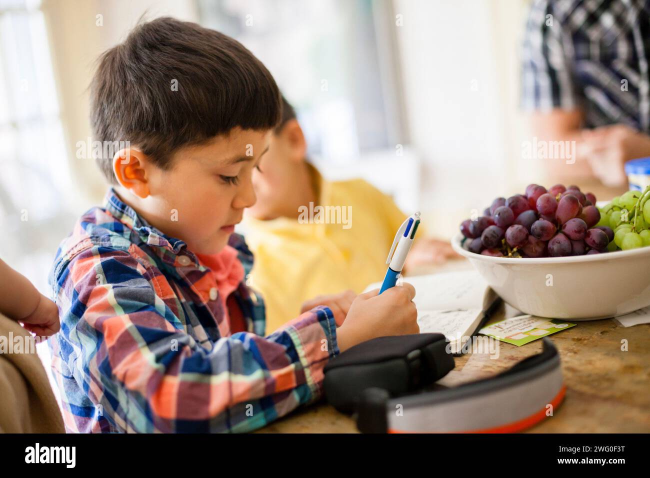 Japanese American boy writing in his journal at kitchen counter Stock ...