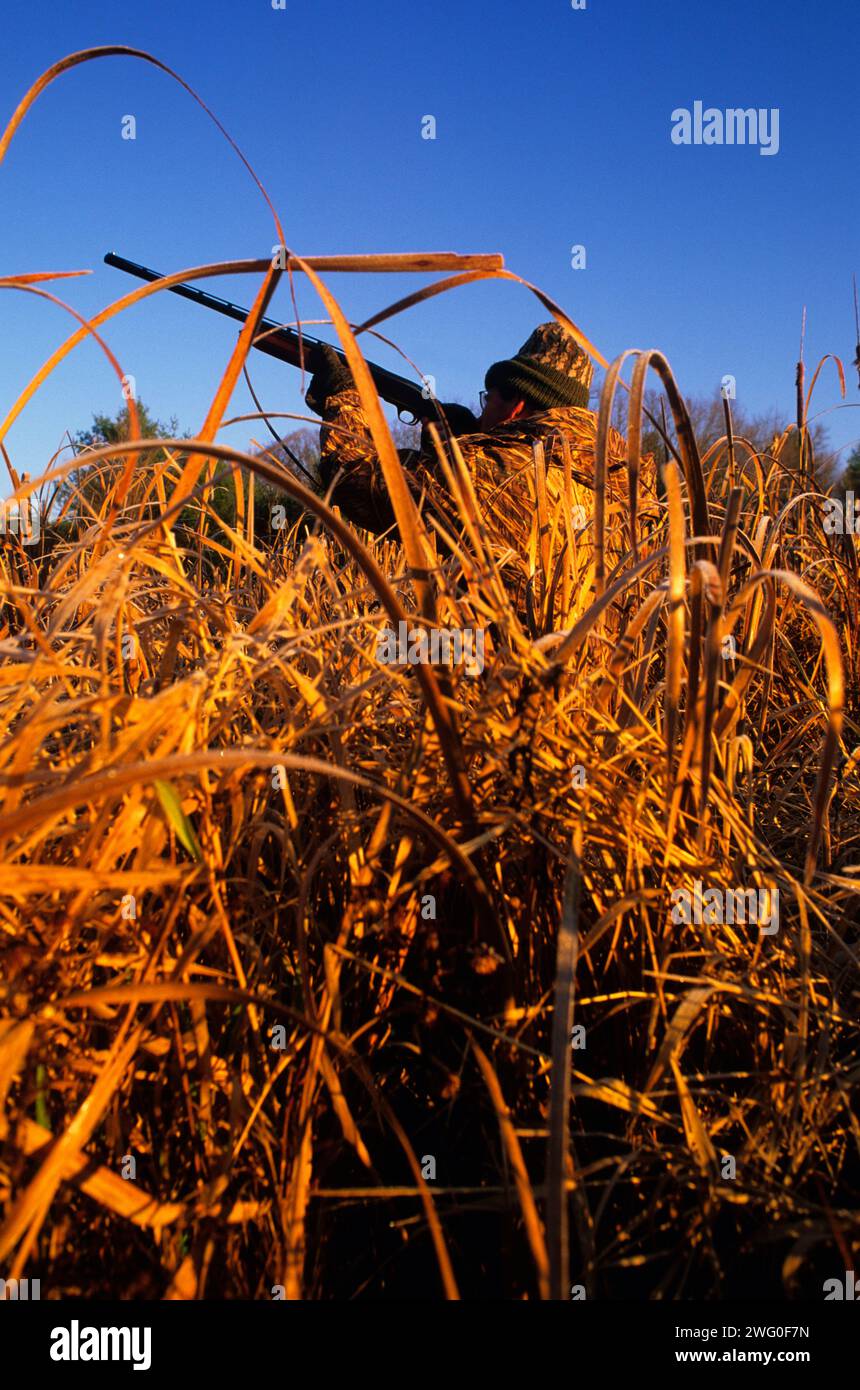 Waterfowling hi-res stock photography and images - Alamy