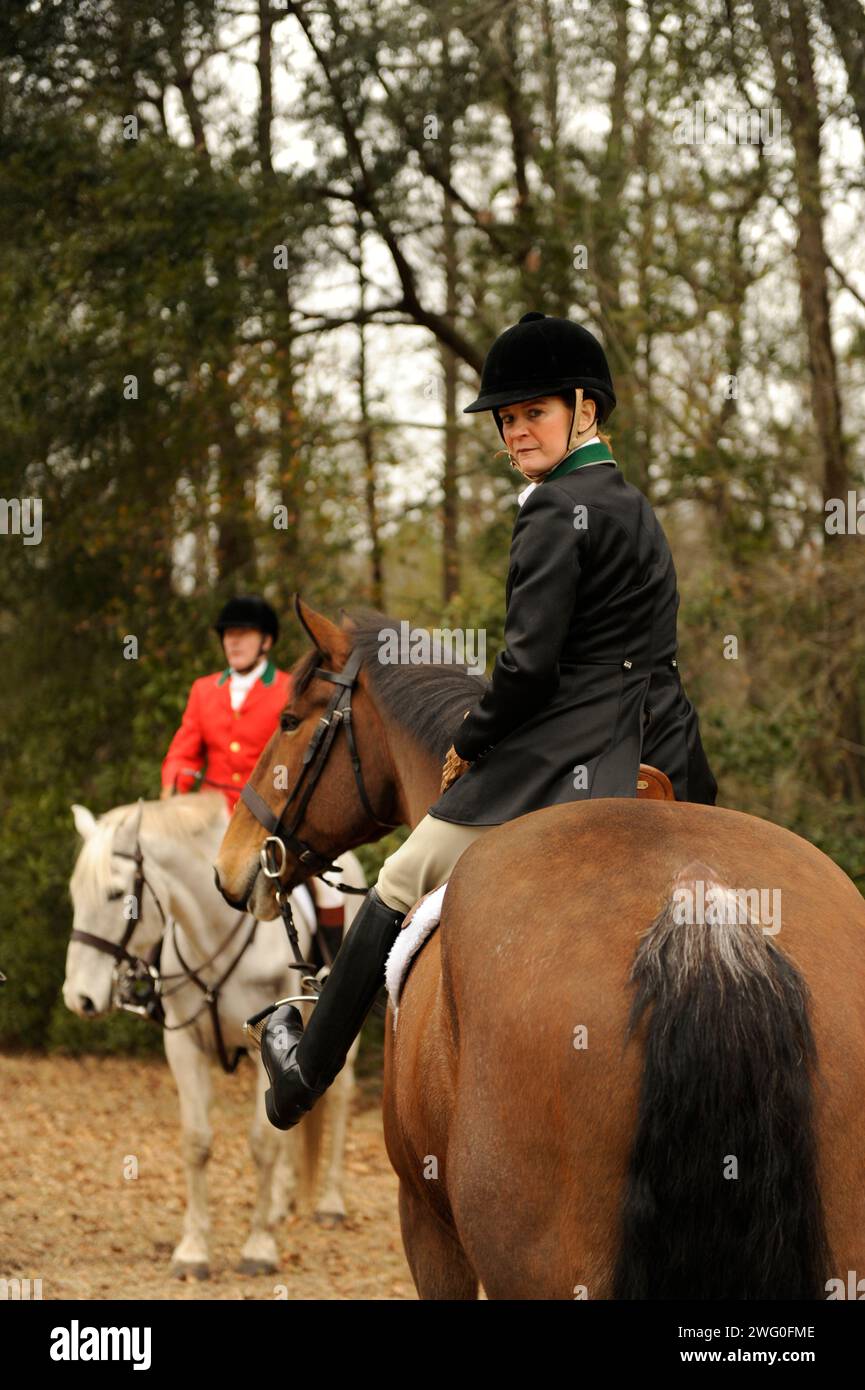 A rider sits atop her horse before setting out on a traditional fox hunt Stock Photo - Alamy