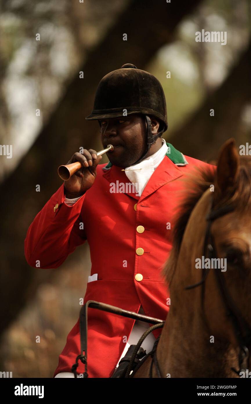 The leader of the hounds blows a horn to communicate with the pack of ...