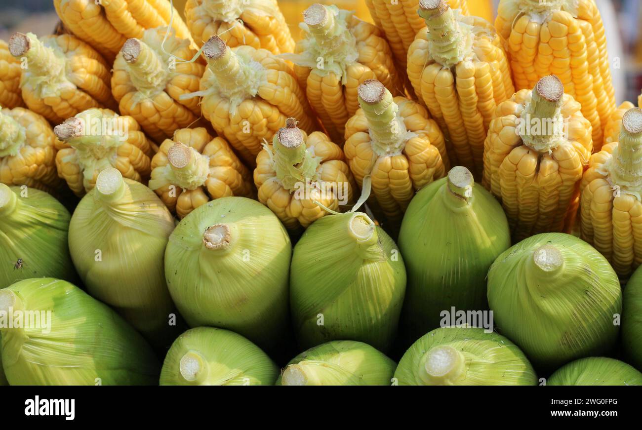Sweetcorn bites hi-res stock photography and images - Alamy