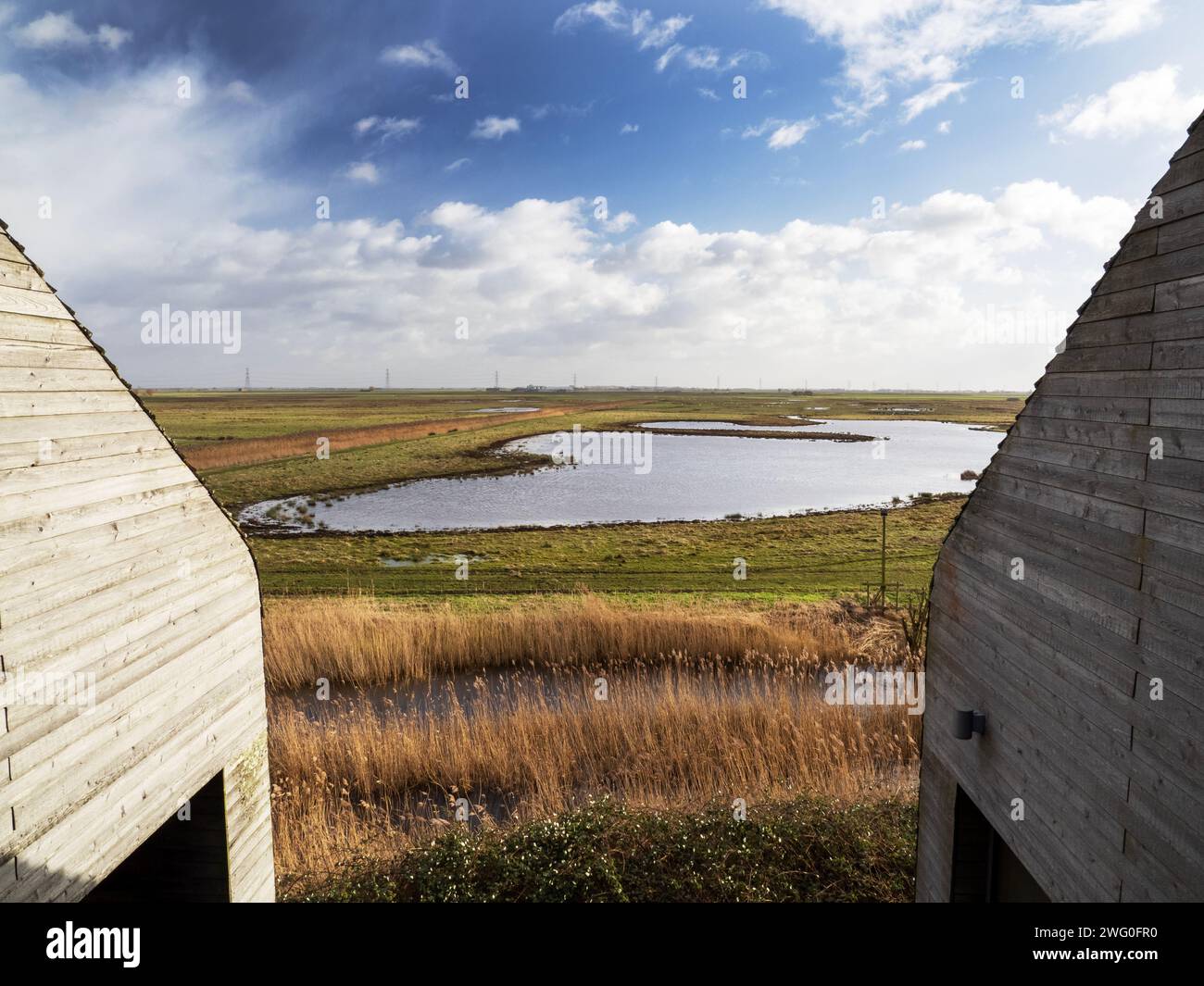 Welney nature reserve in Norfolk, UK Stock Photo - Alamy