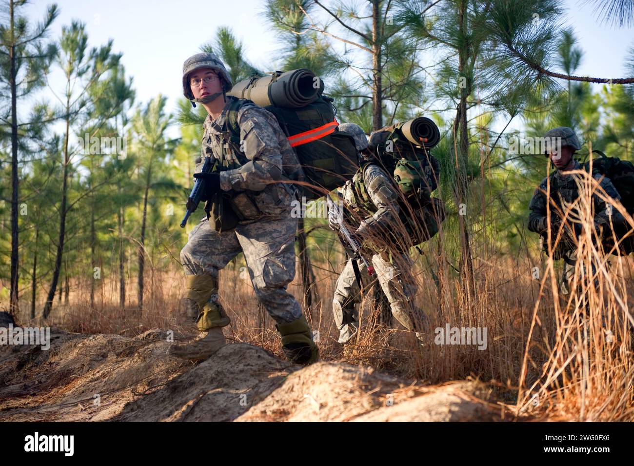 Soldiers patrol through the woods during a field training exercise ...