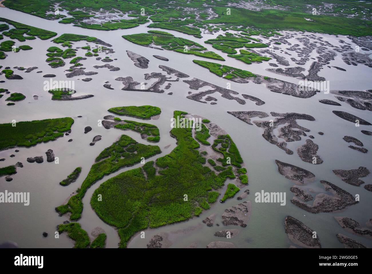 Delta marsh hi-res stock photography and images - Alamy